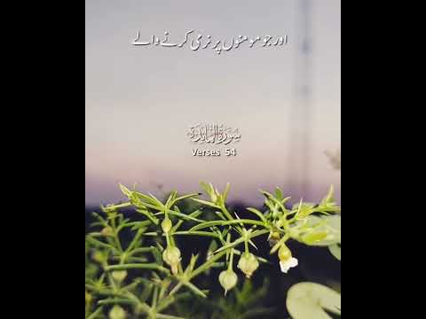 Surah Ikhlas | Urdu Translation | Quran Translation | Islamic History | The Prophet Muhammad S.A.W