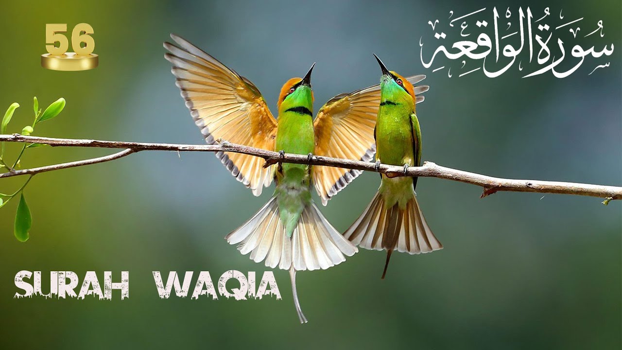 Surah Al Waqiah Full Surat Al Waqi ah 56 With Arabic Text
