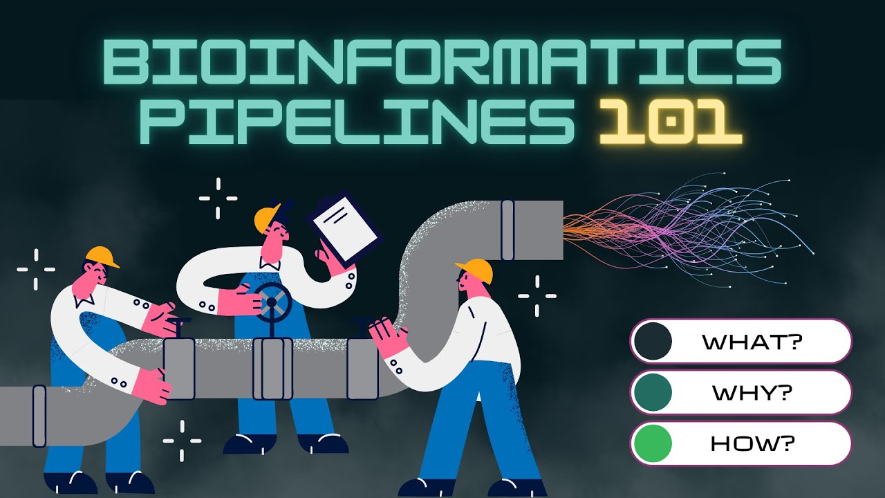 Understanding Bioinformatics Pipelines: A Comprehensive Guide for ... Understanding Bioinformatics Pipelines: A Comprehensive Guide for ...