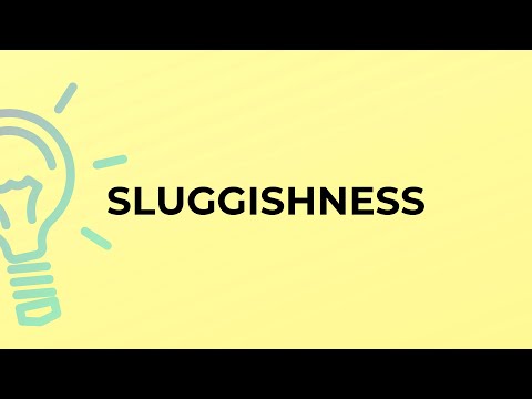 What is the meaning of the word SLUGGISHNESS?