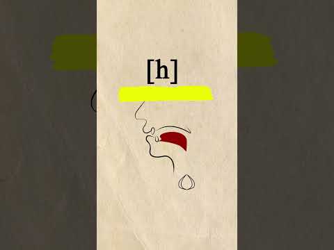Voiced Glottal Fricative [ɦ] #phonetics
