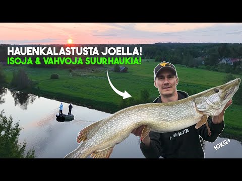 KYMPPIHAUKI VIRRAN SYVYYKSISTĂ! - Hauenkalastusta joella