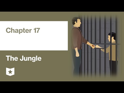 The Jungle Study Guide | Course Hero