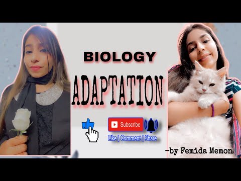 Easily explained ADAPTATION | Biology | Femida Memon |