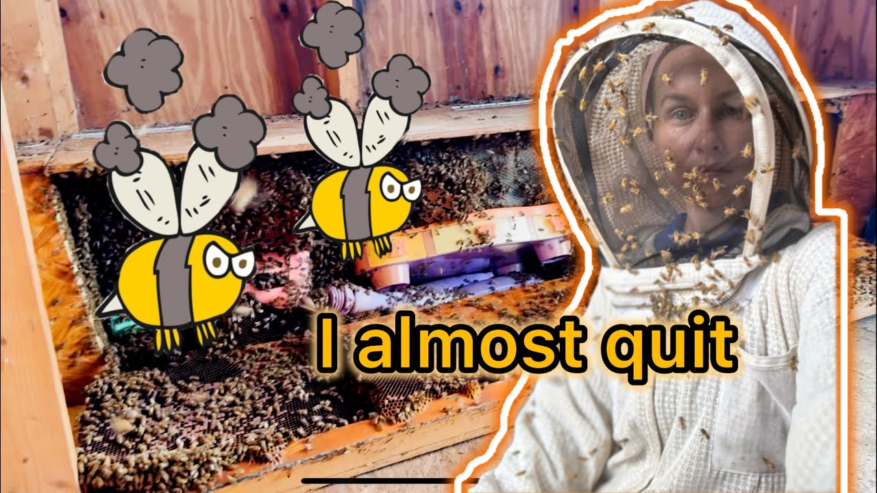 When The Bees Fight Back