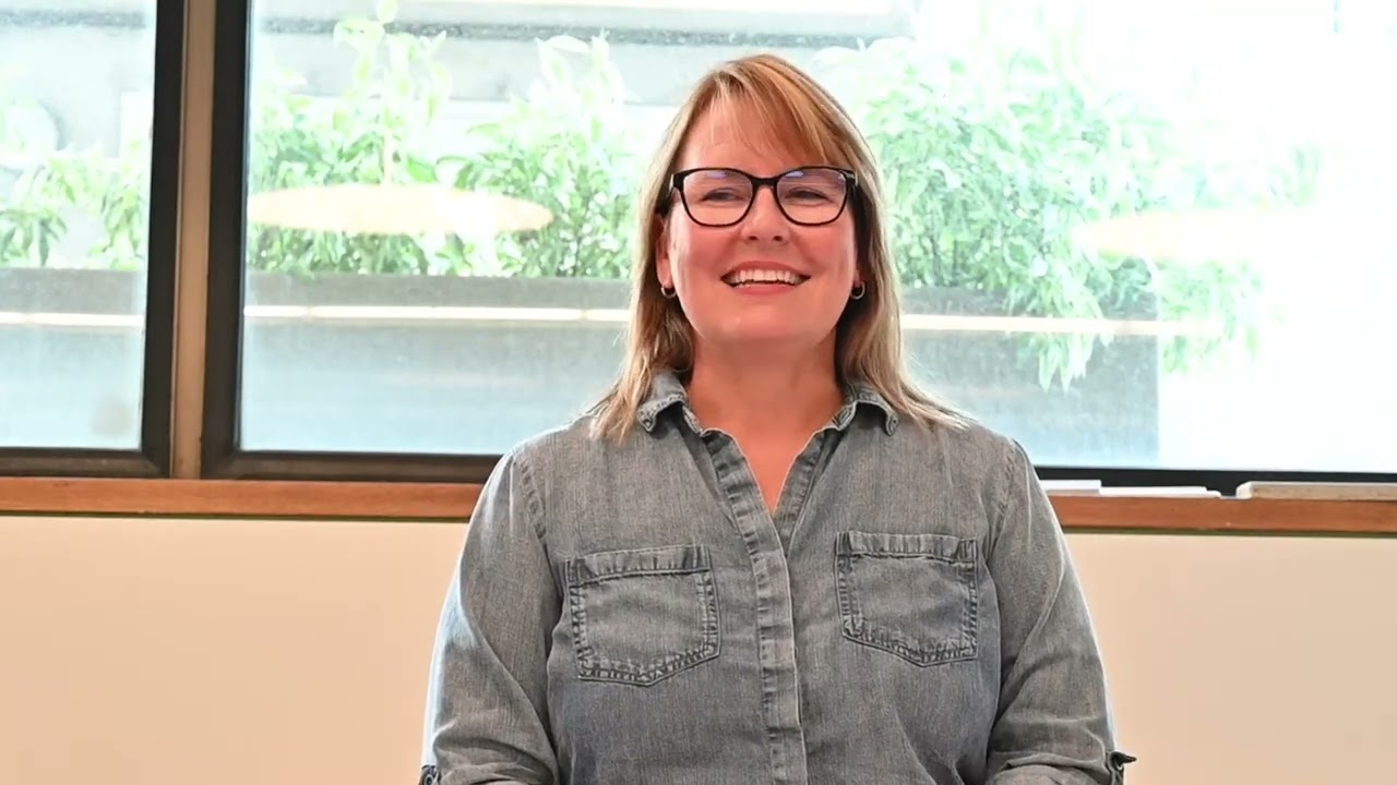 Mental Health Bridges - Introduction