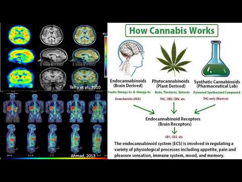 SoCo Series: PRE-Certification - SCIENCE OF CANNABIS