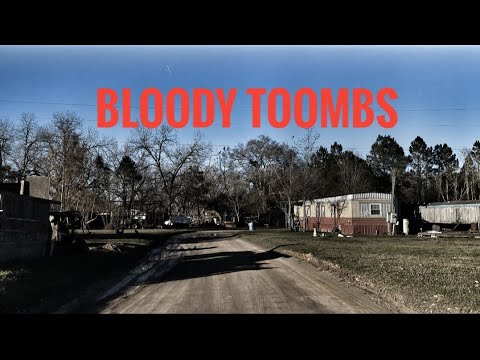 LYONS GA. nicknamed Bloody Toombs county!! Look at this trailer park..😳😳