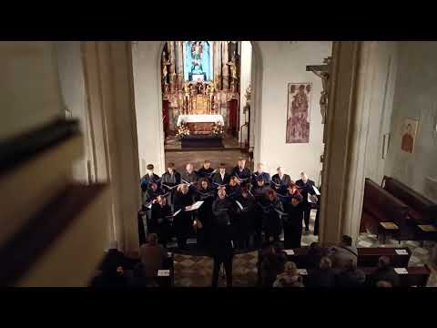 Koncert MePZ Alpha vox: Železna Kapla, Eisenkappel