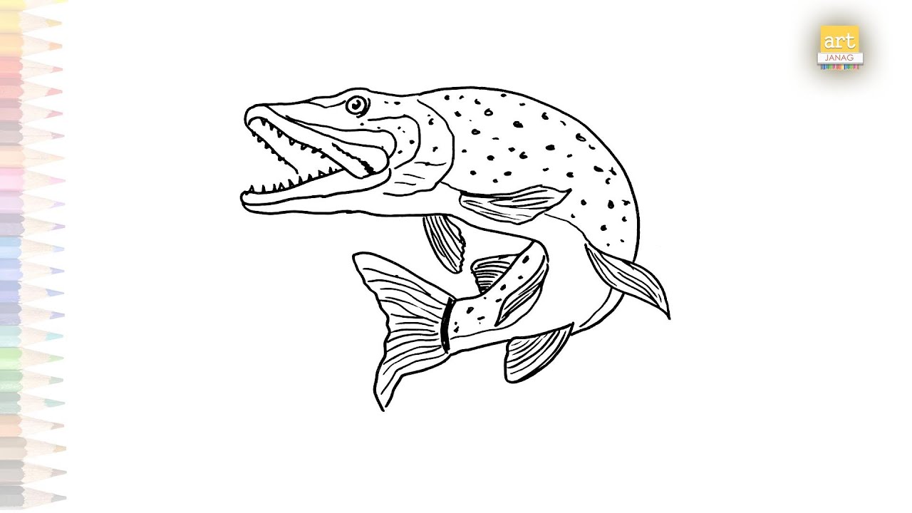 Northern Pike drawing | Fish drawing tutorials | How to draw Northern pike easy steps | #artjanag