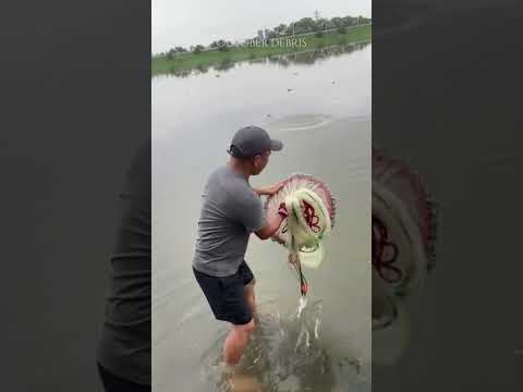 Cast a net to catch fish🐟#catchfish#castnet#fishing#fishermen