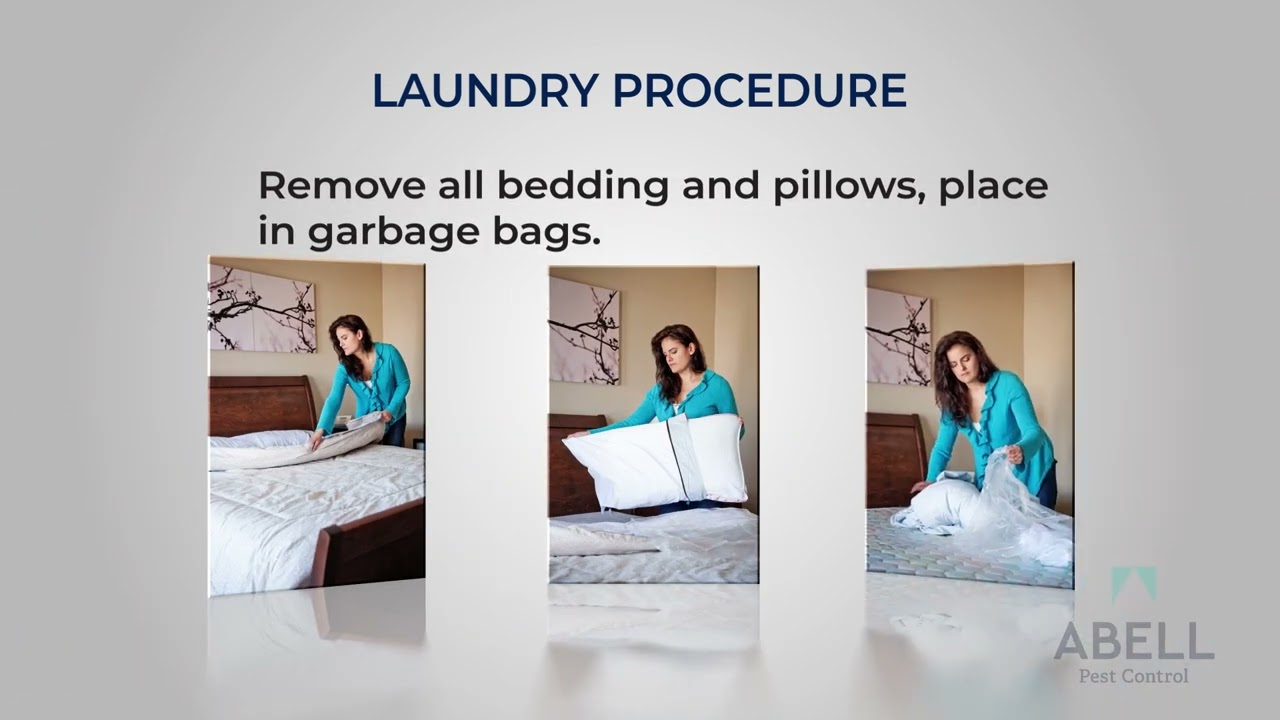 Bed Bug Preparation Steps for Treatment