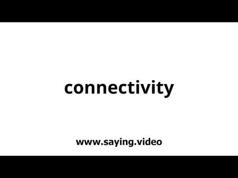 How to say connectivity in English