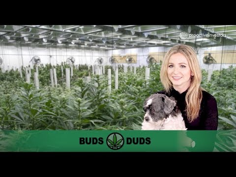 Buds & Duds