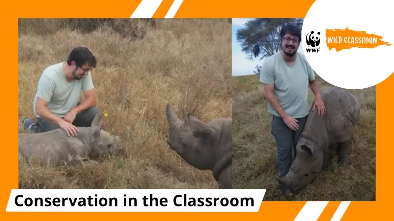 How Technology Can Help Wildlife