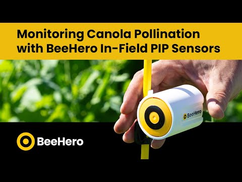 BeeHero - Israeli Startup | Startup Nation Finder