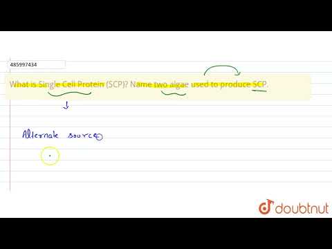What is Single Cell Protein (SCP)? Name two algae used to produce SCP. | CLASS 12 | STRATEGIES F...