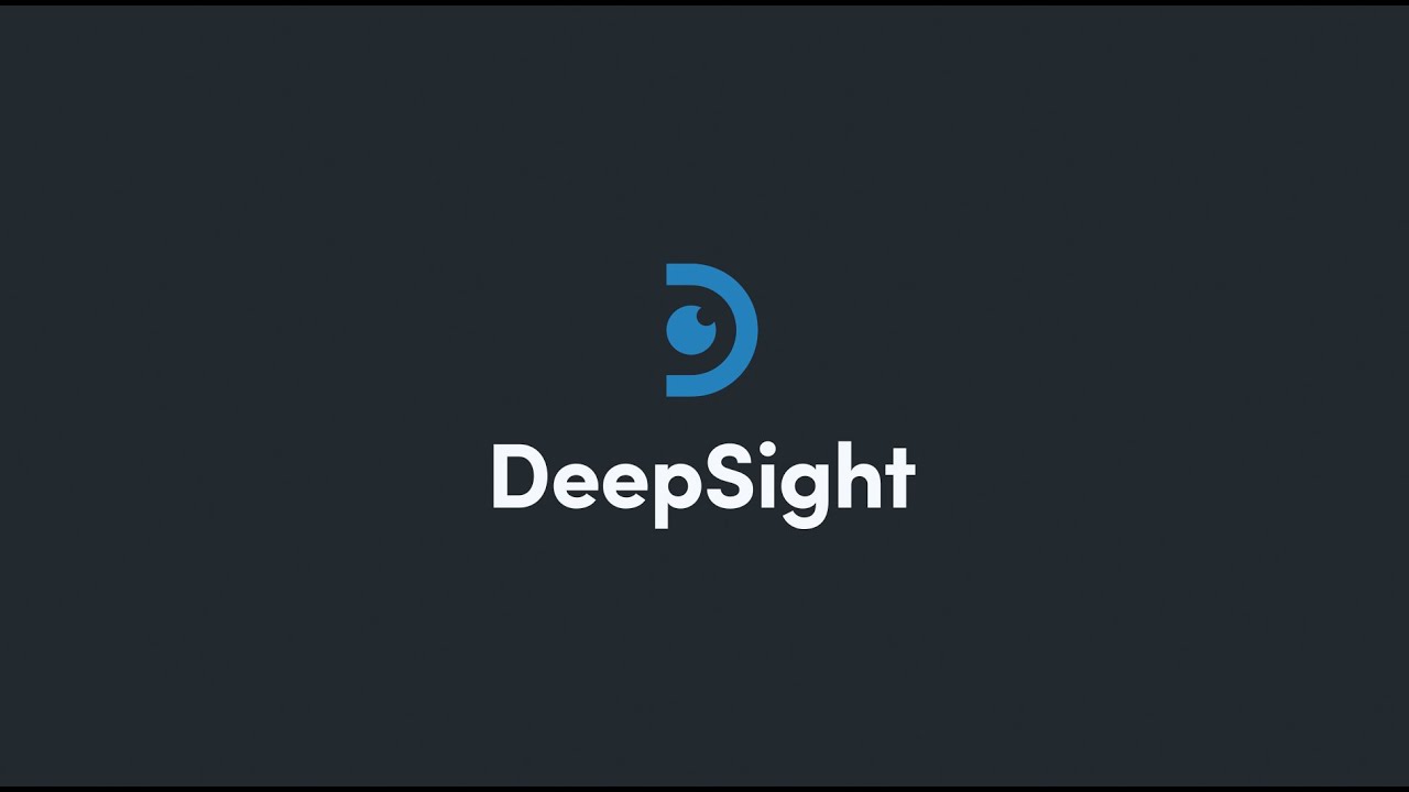 A Day in the Life at DeepSight
