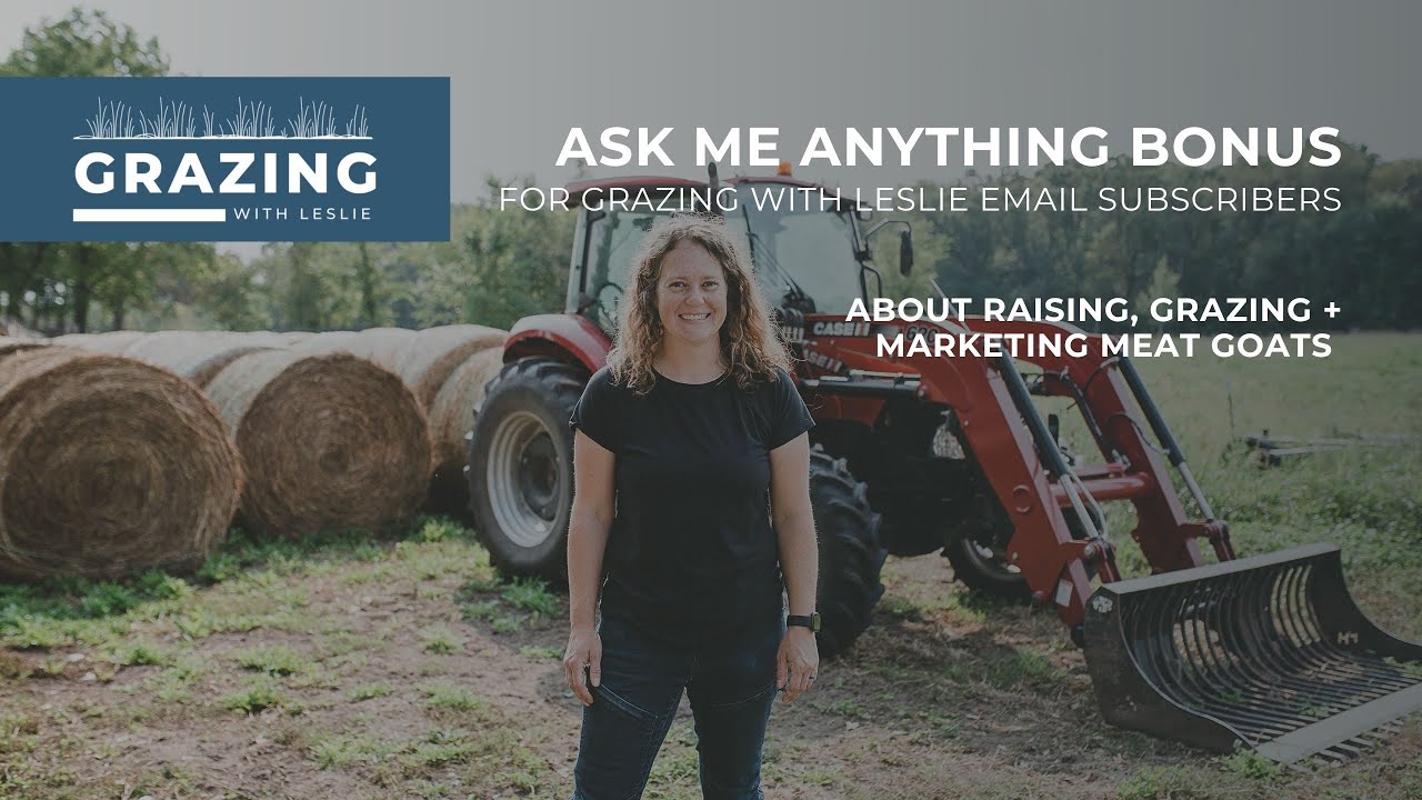 Ask Me Anything | Grazing with Leslie email subscribers bonus