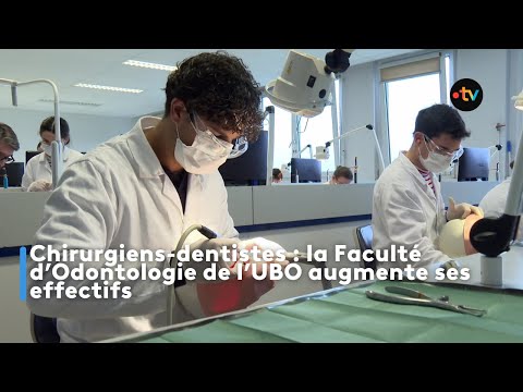 Chirurgiens-dentistes