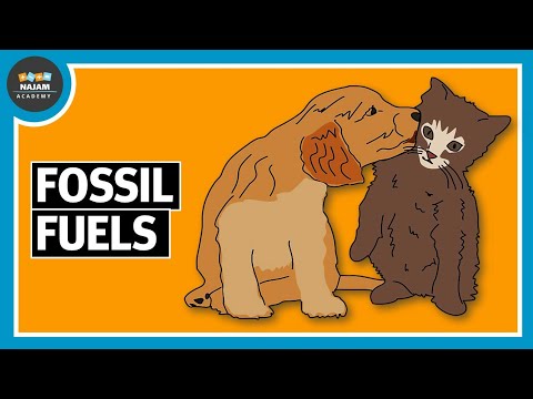 Fossil Fuels | Chemsitry