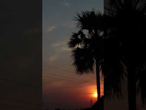 Sangathil padatha kavithai #natute love #melody #shortsπ.