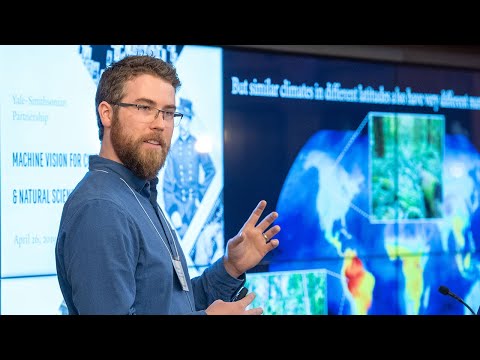 Deep Learning, Biogeography, and the Evolution of Plant Shapes