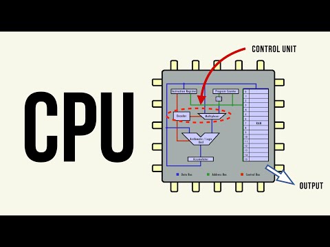 Everything you need to know about CPU