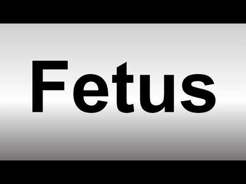 How to Pronounce Fetus