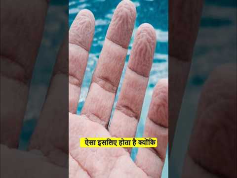 पानी में देर तक हाथ डालने से चमड़ी क्यों सिकुड़ जाती है ? #fact #facts #hindi #latest #viral #hindi