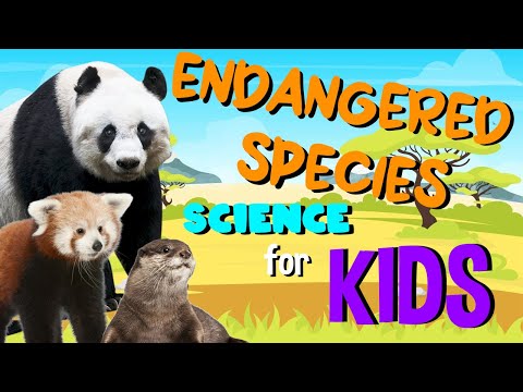 Endangered Species - Science for Kids