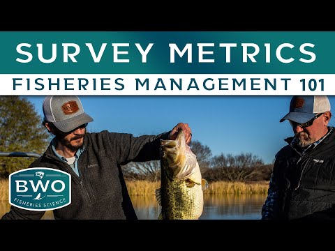 Survey Dashboard Metrics We Always Measure - Fisheries Management 101