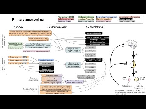 Primary amenorrhea (mechanism of disease)