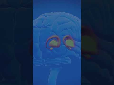 #shorts Target ALS | What is AAV for Gene Therapy?
