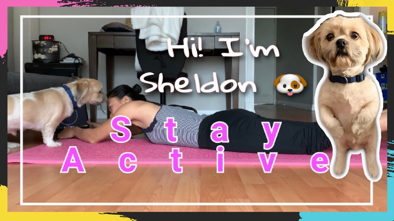 Long Beach Days: Morning Exercise with my pet Sheldon / Lhasa Apso dog - Stay Healthy