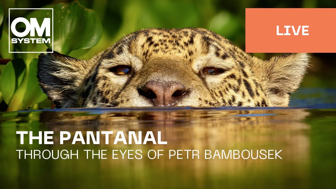 New OM Tutorials and Videos roundup – 43 Rumors