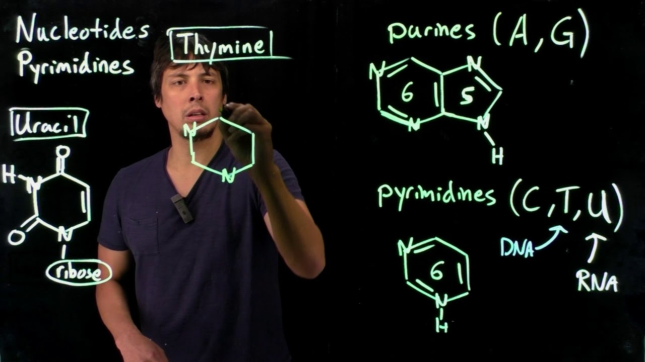 Topic 10.5 - Pyrimidine structures