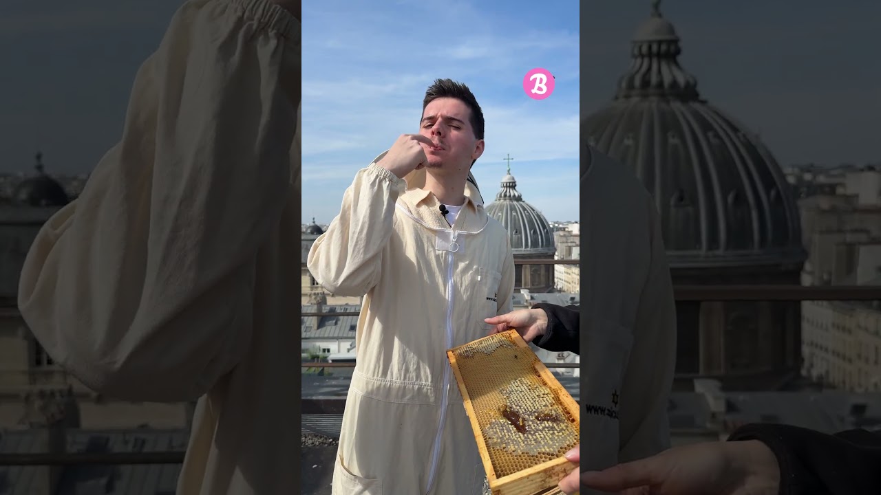 Beehives on the roof of a Parisian palace