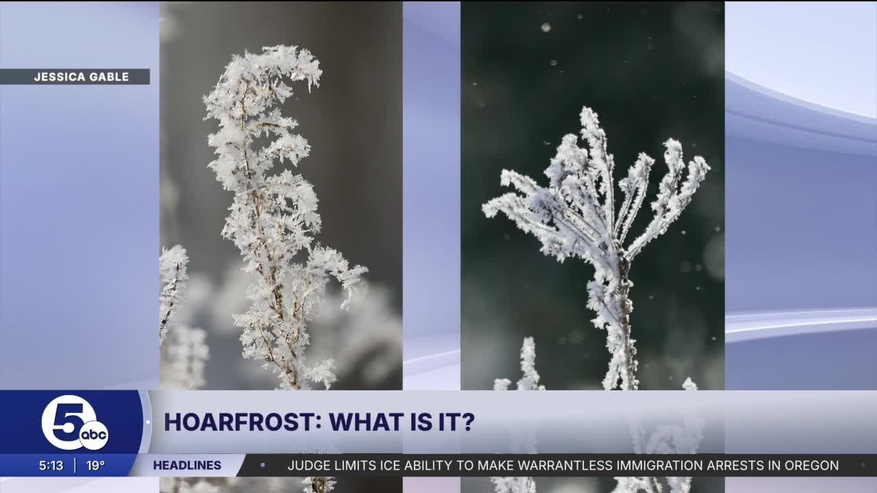 Hoarfrost: What is it?