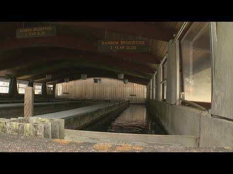 Minnesota’s Main Trout Hatchery In Serious Disrepair