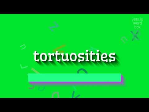 HOW TO SAY TORTUOSITIES? #tortuosities