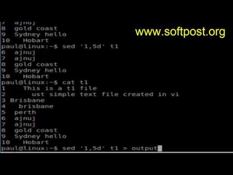 How to delete specific lines in a file in Unix