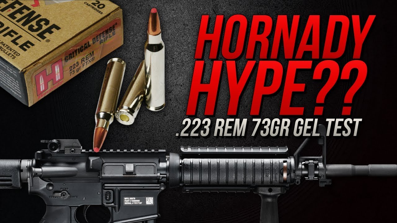 Hornady Hype? .223 Rem Hornady 73gr Critical Defense Gel Test