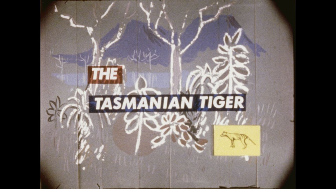 The Tasmanian Tiger (1964)