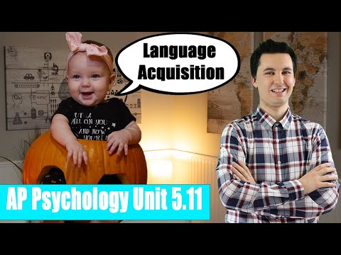 Children & Language Development [AP Psychology Unit 5 Topic 11] (5.11)