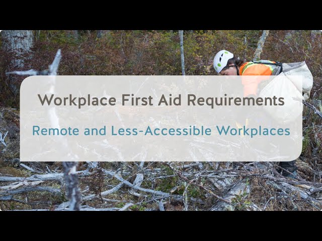 Understanding Remote and Less-Accessible Workplaces for First Aid ...
