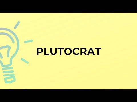 What is the meaning of the word PLUTOCRAT?