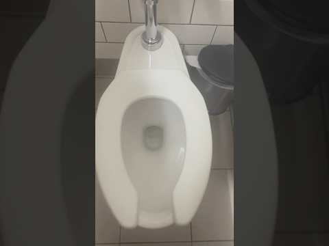 American Standard Madera Toilet #toilet #bathroom