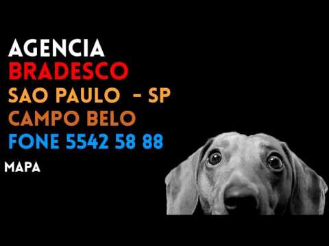 ✔ Agência BRADESCO em SAO PAULO/SP CAMPO BELO - Contato e endereço