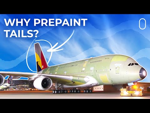Why Are Aircraft Tails Painted Before Being Attached To The Fuselage?
